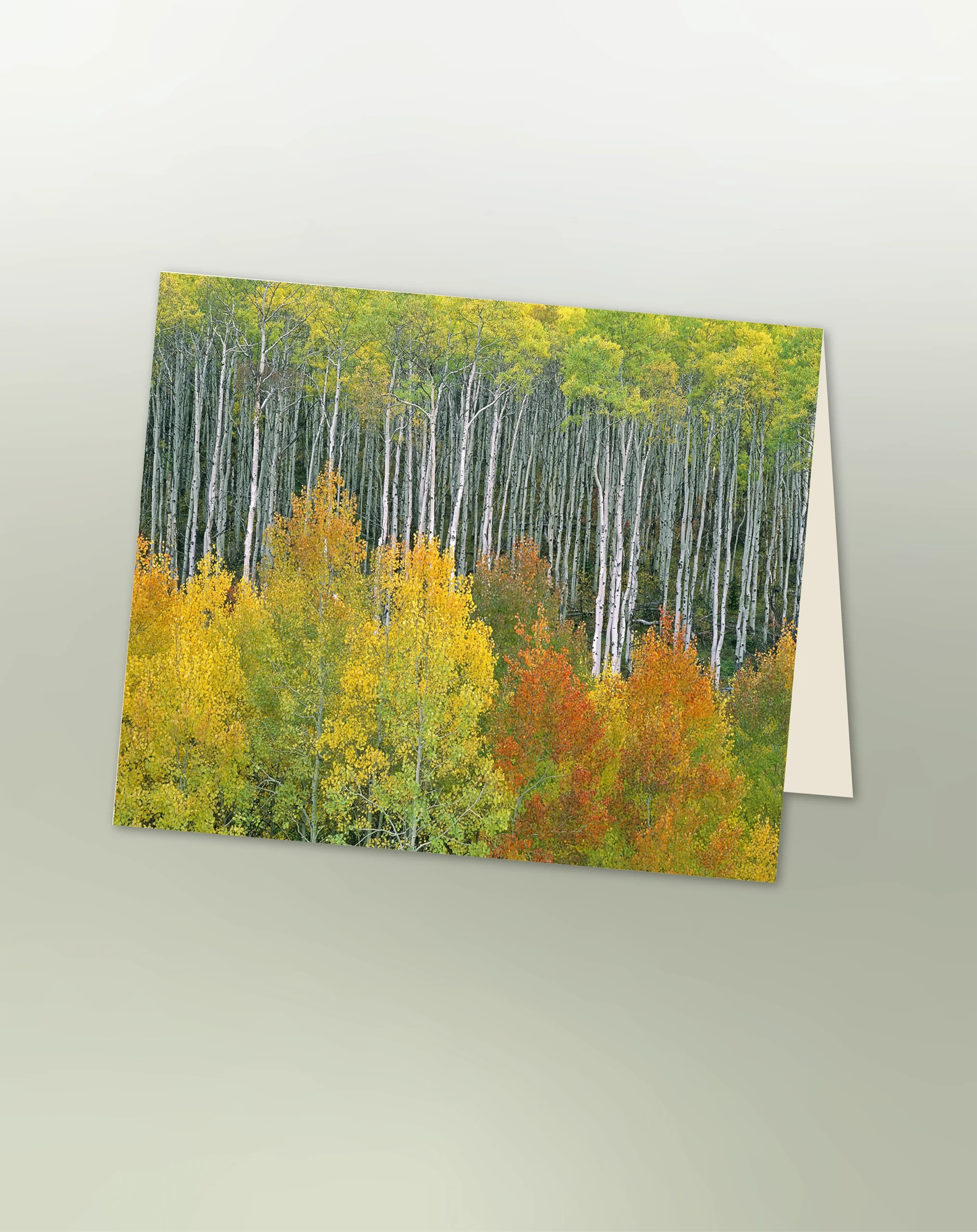 Autumn Aspen - Nature•Notes - NatureScapes Publishing